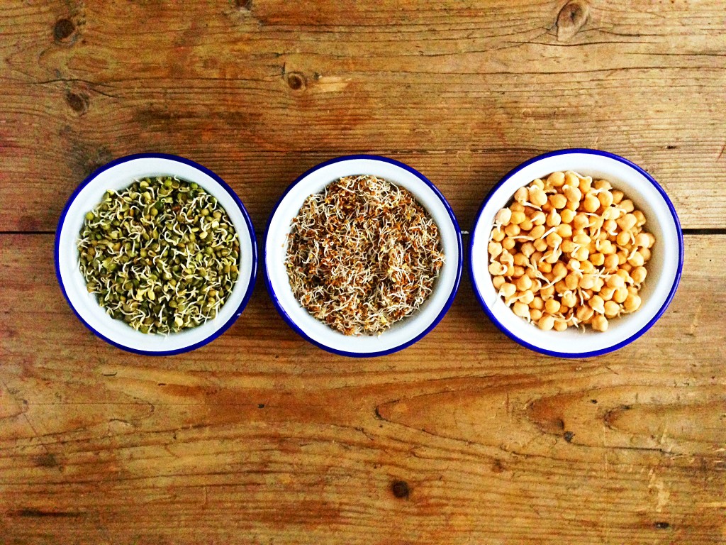 Sprout your way through till Spring | Irma Green